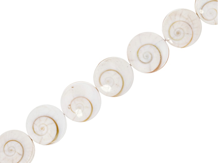 Operculum Shell Bead Strand Approximately 15.5-16" in Length - JLW14008 ...