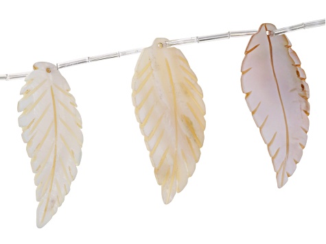 Shell Carved Leaf Bead Strand Approximately 14" in Length - JLW14009 | JTV
