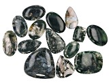 Moss Agate Grooved Cabochon Assorted Size and Shape 1/4lb Mix ...