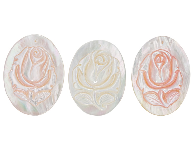 Shell Carved Rose 56x41mm Cameo Set of 3 - JMO314 | JTV