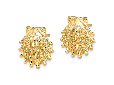 14k Yellow Gold Textured Lion's Paw Shell Stud Earrings - 11K0QA | JTV