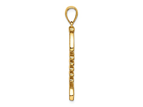 14k Yellow Gold 3D Polished and Textured Fishbone Charm - 12H3VA | JTV