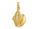 14k Yellow Gold Textured Conch Shell Charm - 12MMSA | JTV