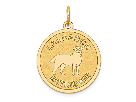 14k Yellow Gold Labrador Retriever Disc Charm - 154PVA | JTV