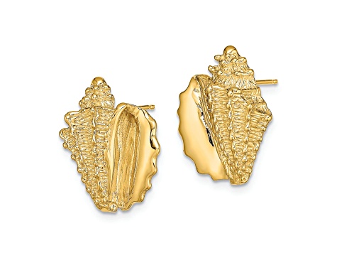 14k Yellow Gold 2D Textured Conch Shell Stud Earrings - 18RHJA | JTV