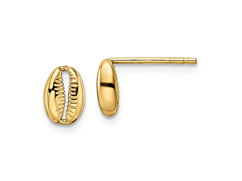 14K Yellow Gold Polished and Textured Shell Stud Earrings - 19J5PA | JTV